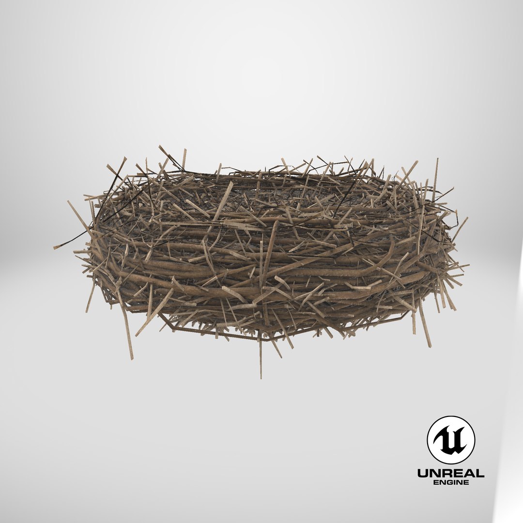 Bird Nest 2 3D - TurboSquid 2146355