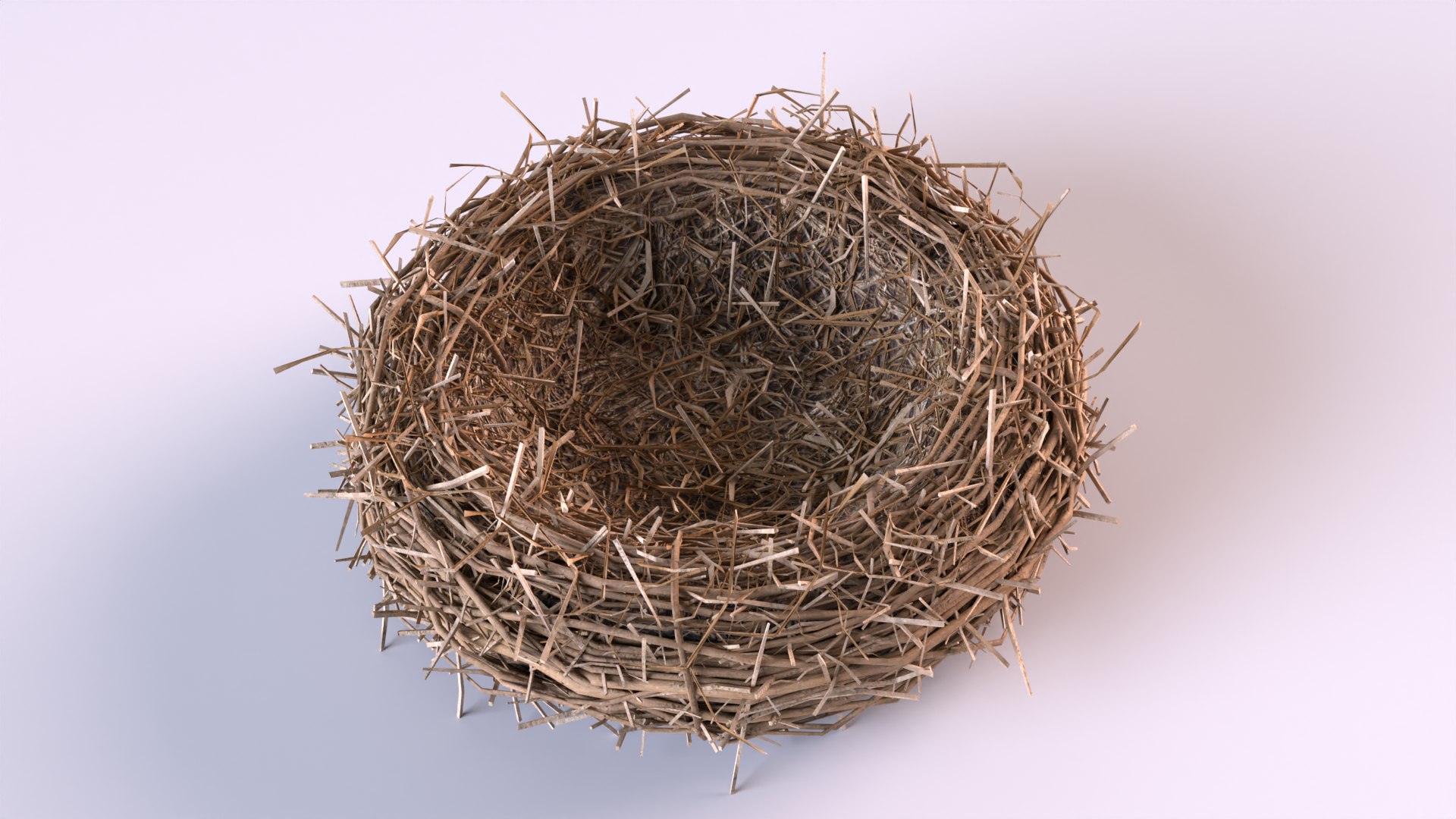 Bird Nest 2 3D - TurboSquid 2146355