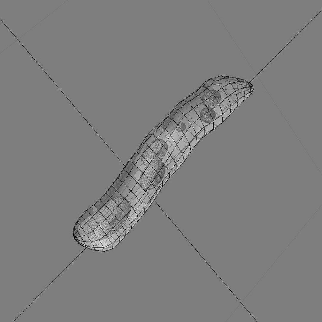 microbes micro organisms 3d model