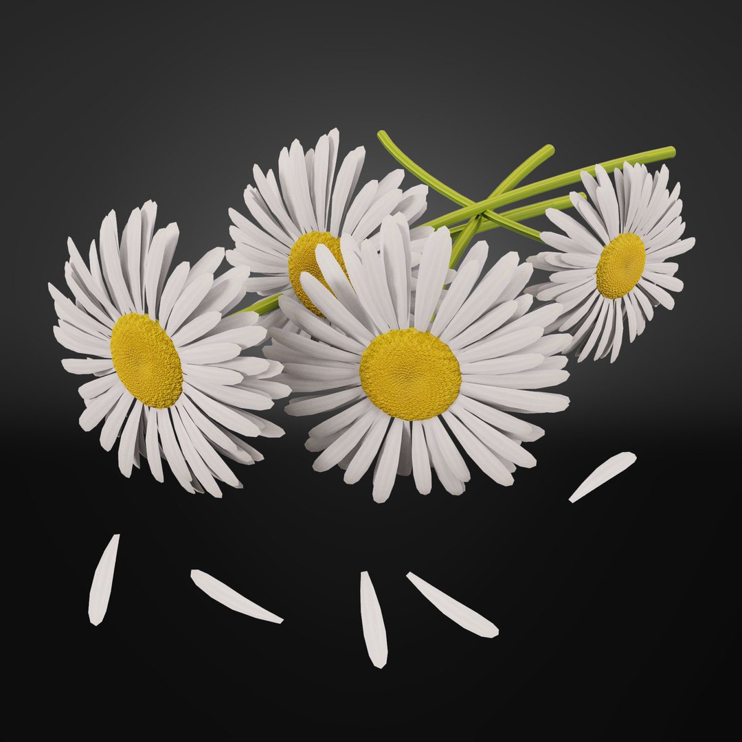 max plant flower