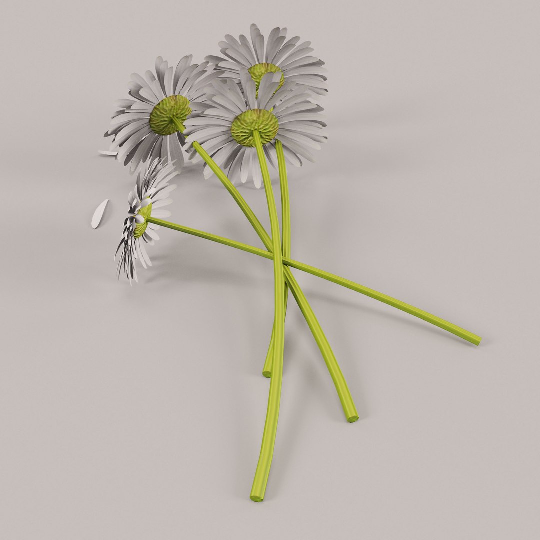 max plant flower