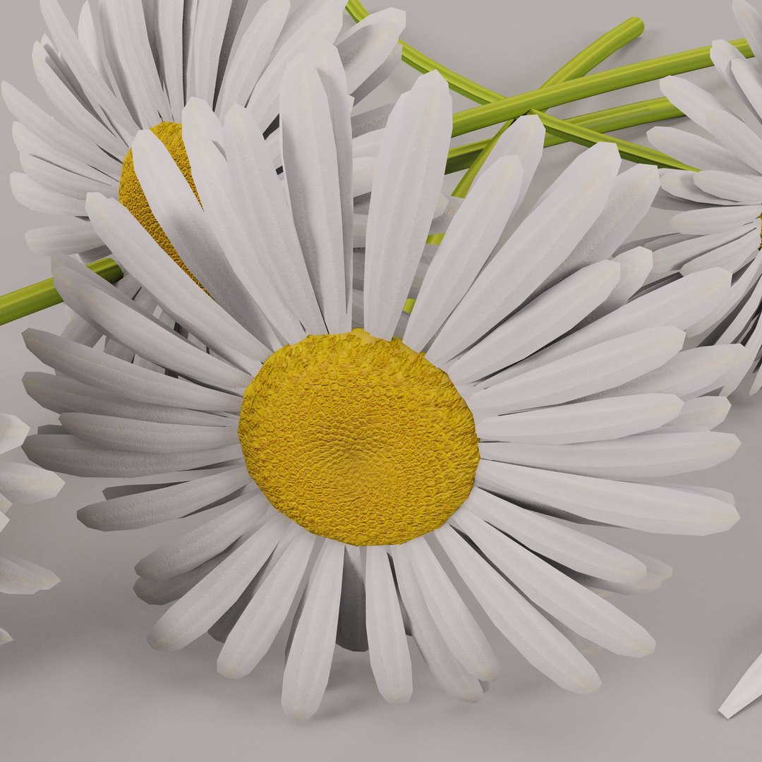 max plant flower