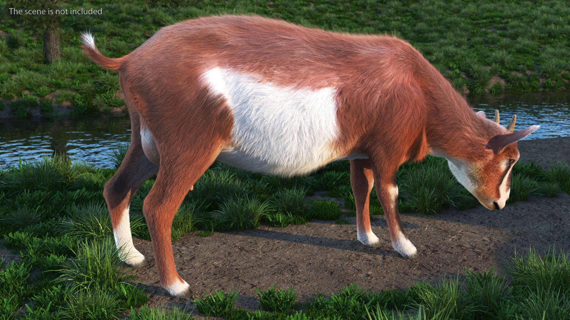 Goat On Pasture Brown-White Fur 3D Model - TurboSquid 1991635
