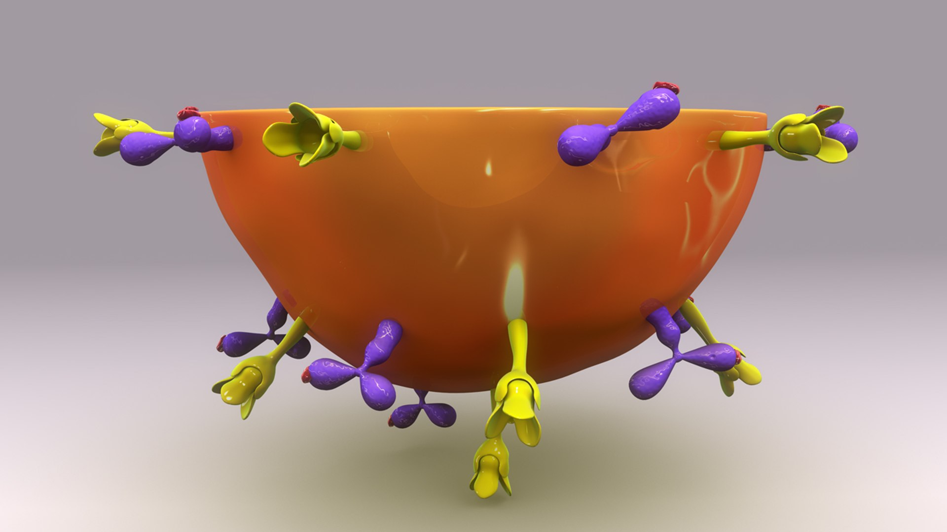 3d Model Plasma Cell Anatomy