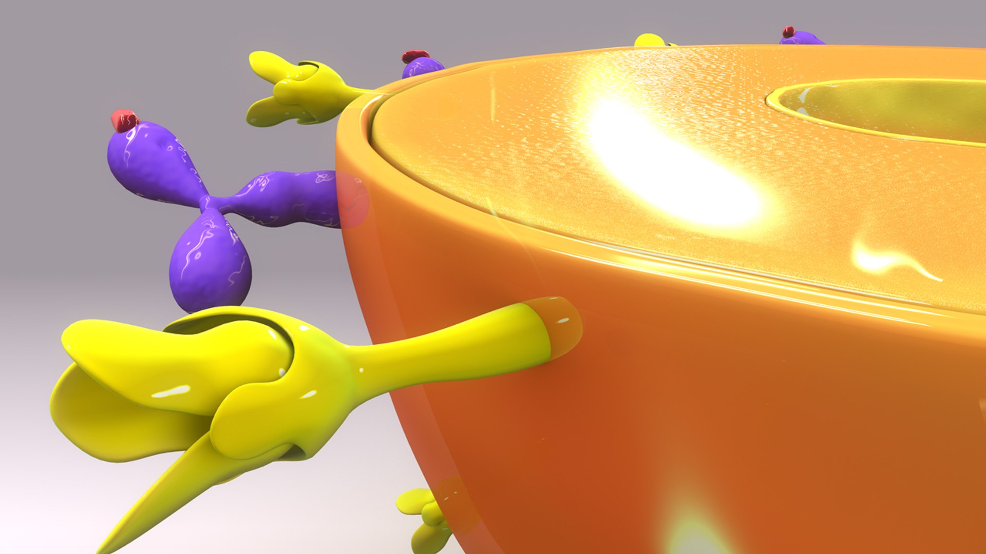 3d Model Plasma Cell Anatomy