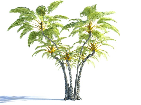3D prehistoric plants tree - TurboSquid 1674012