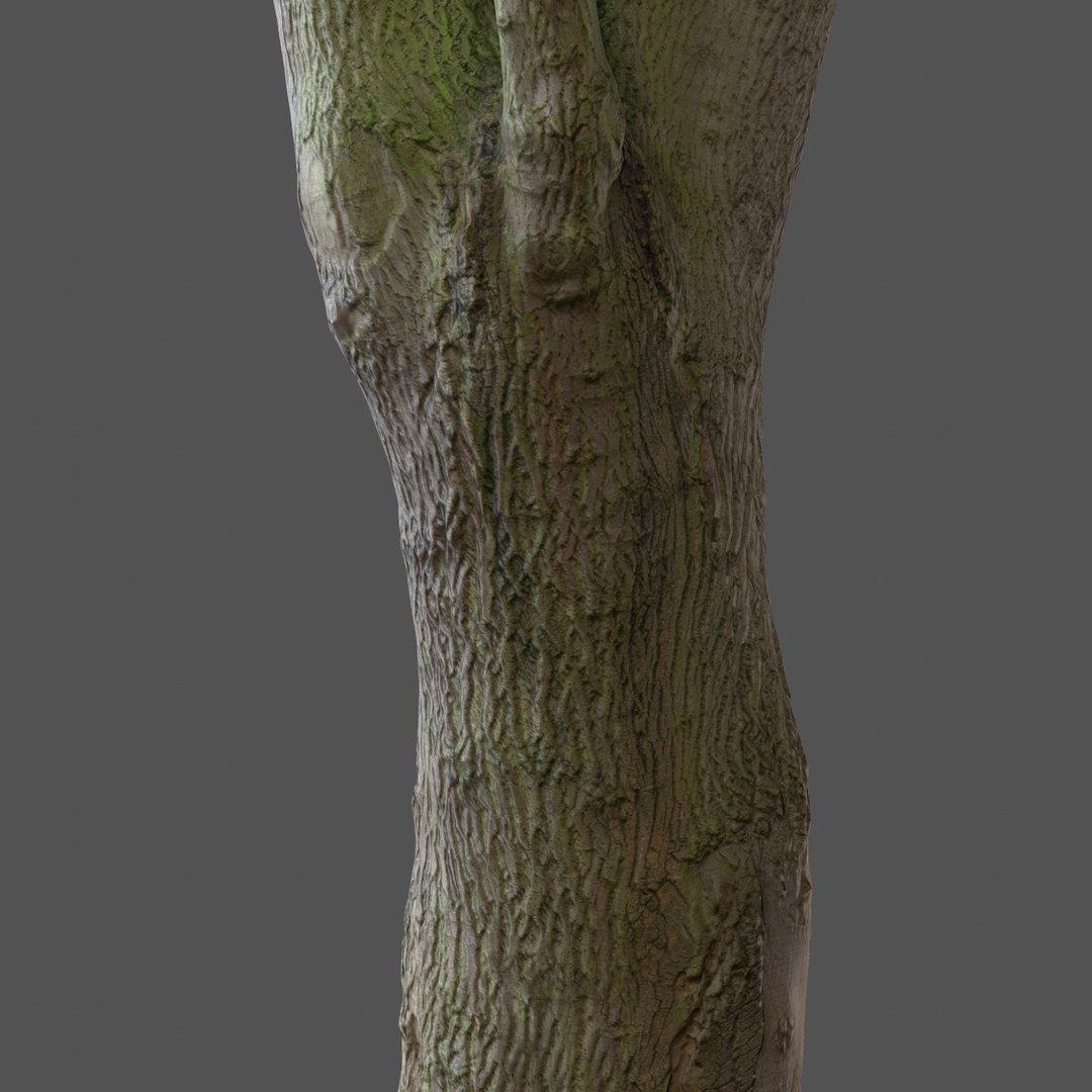 3d tree asset model