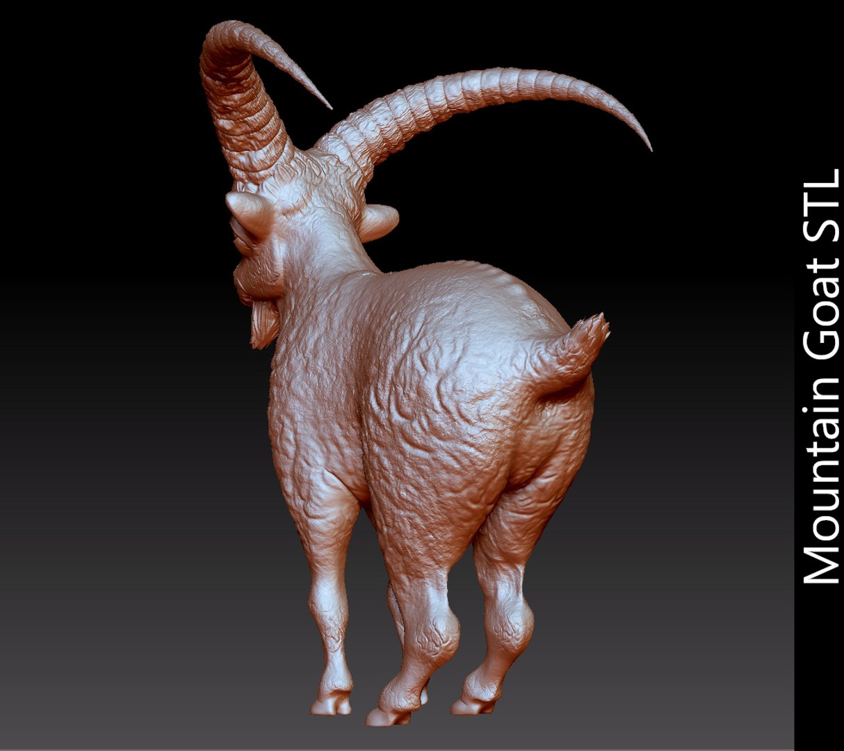 Mountain Goat Stl Hollowed 3d 3ds