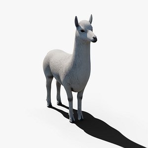 Alpaca 3D Modelos para Descargar | TurboSquid