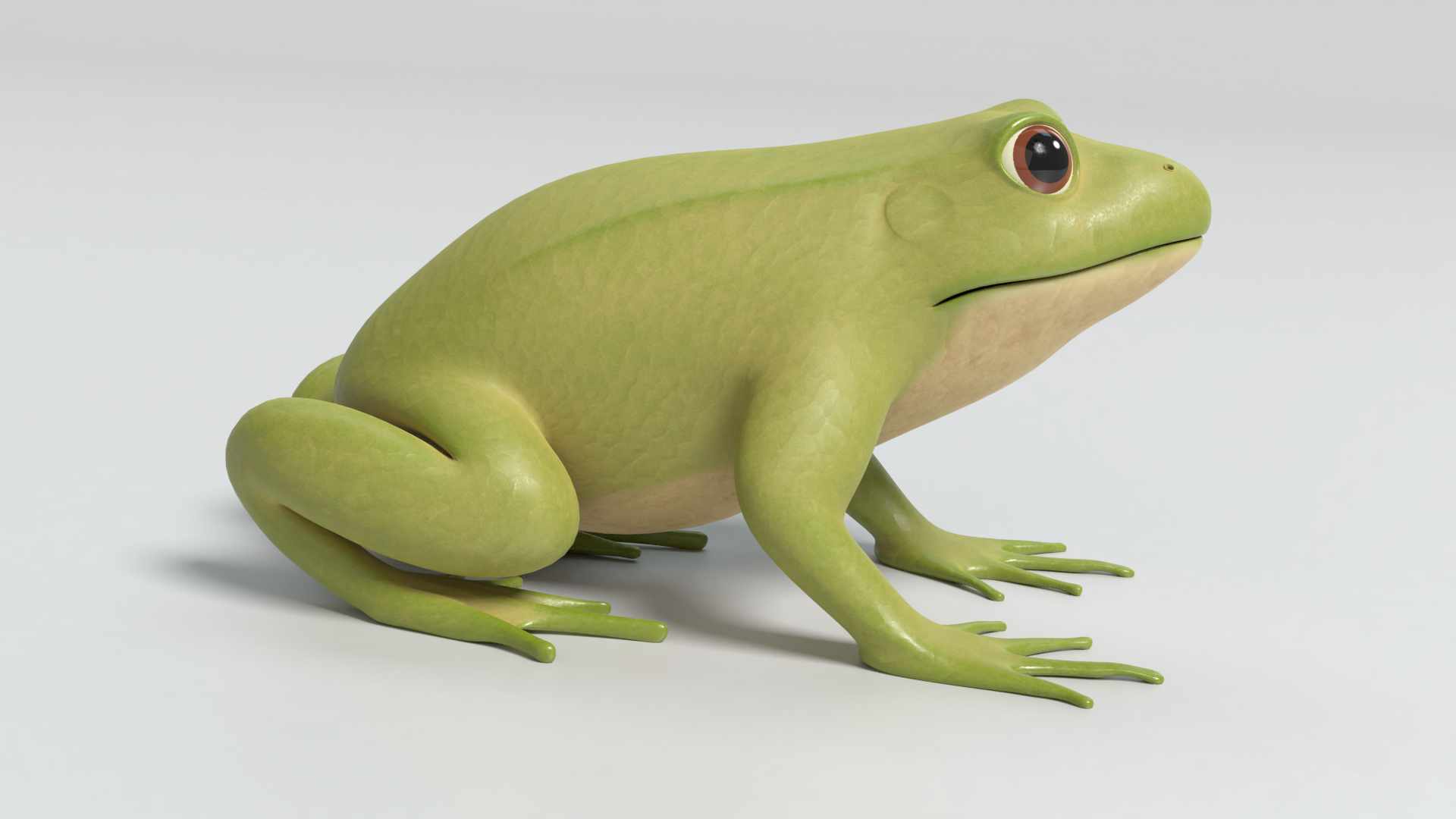 3D model cartoon frog - TurboSquid 1508446