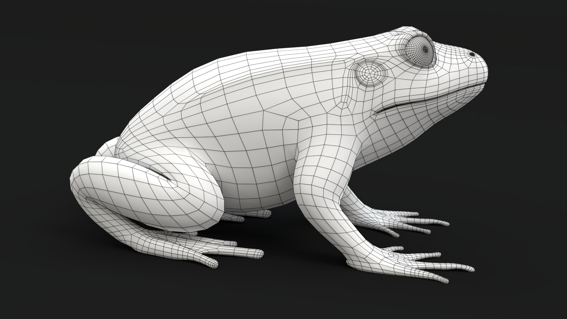 3D Model Cartoon Frog - TurboSquid 1508446