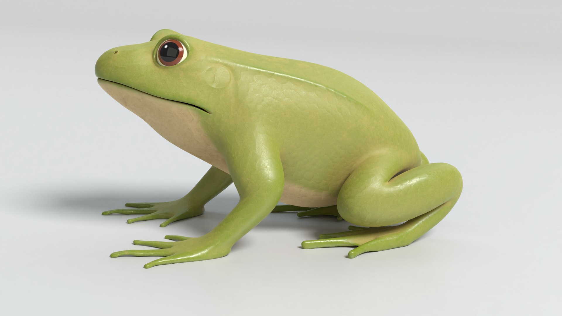 3D Model Cartoon Frog - TurboSquid 1508446