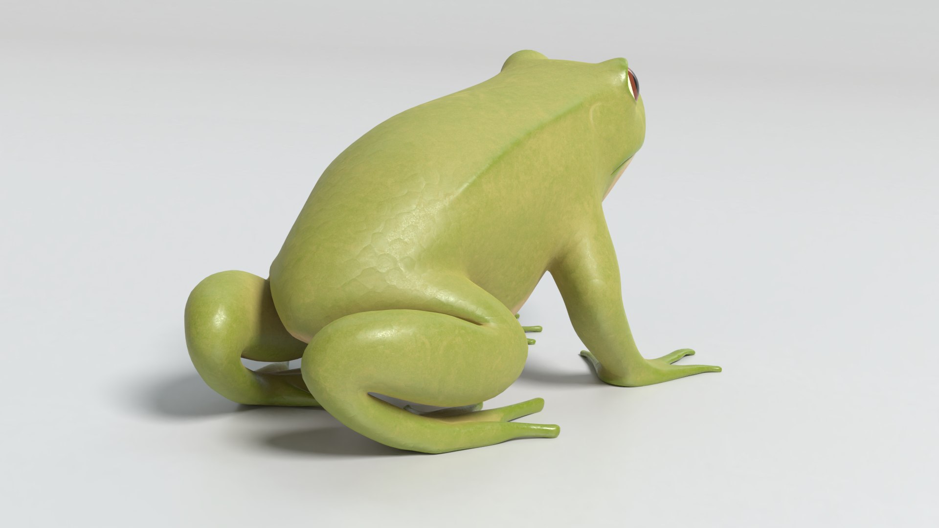 3D Model Cartoon Frog - TurboSquid 1508446