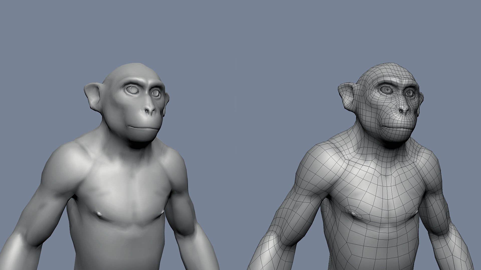 Monkey Basemesh 3D - TurboSquid 2238224