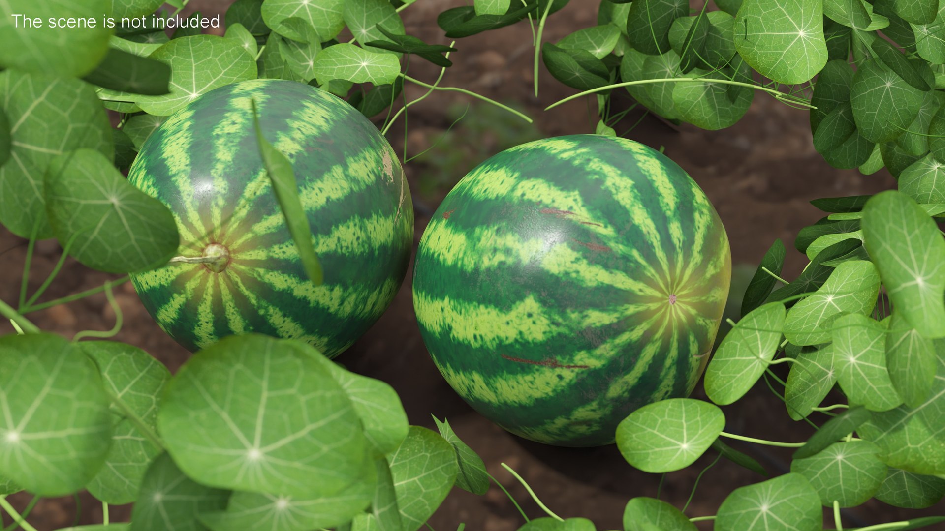3D model Watermelons Set - TurboSquid 2092703