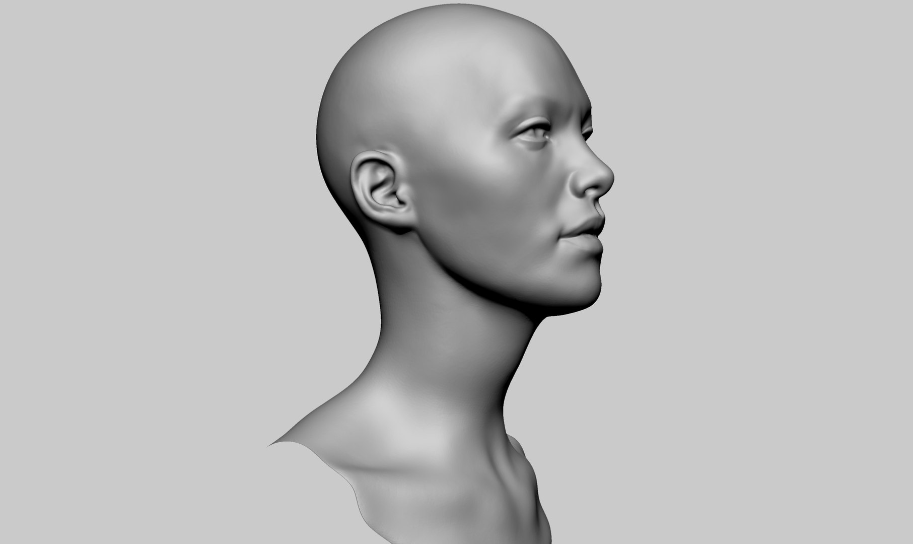 Base Female Head Anatomy Model - TurboSquid 1556269