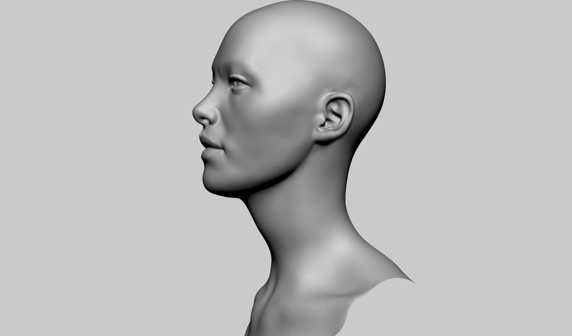 Base Female Head Anatomy Model - TurboSquid 1556269