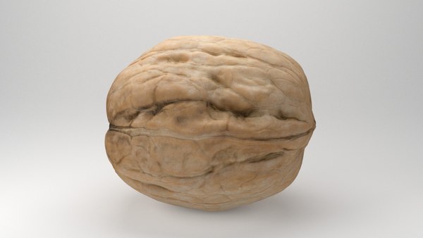 3D walnut photogrammetry - TurboSquid 1464103