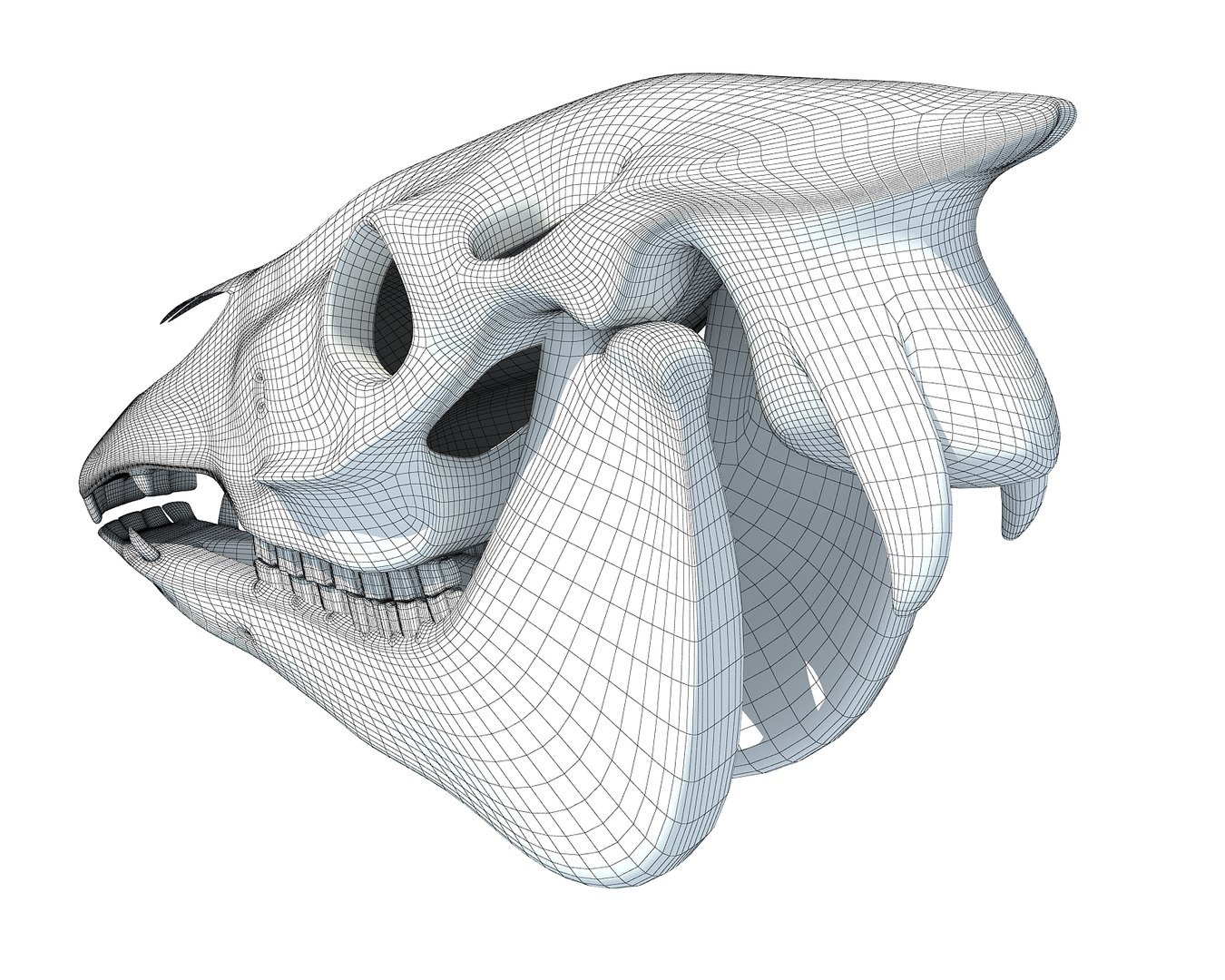 Donkey Skull Skeleton 3ds