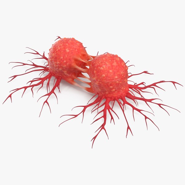 Cancer Cell 3D Models for Download | TurboSquid