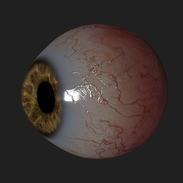 3d model realistic human eye