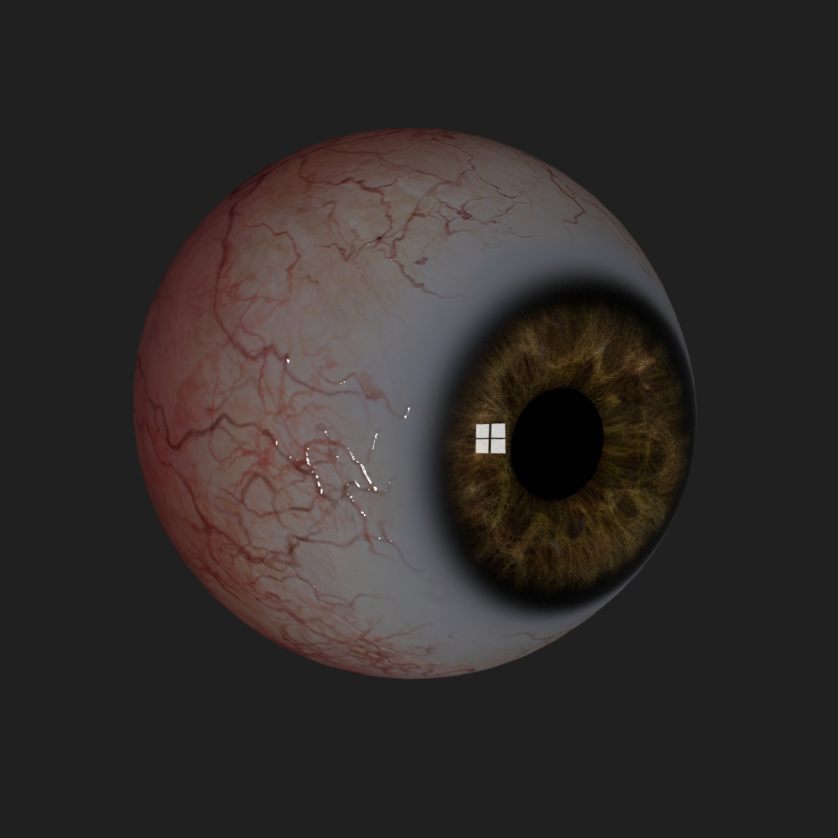 3d model realistic human eye