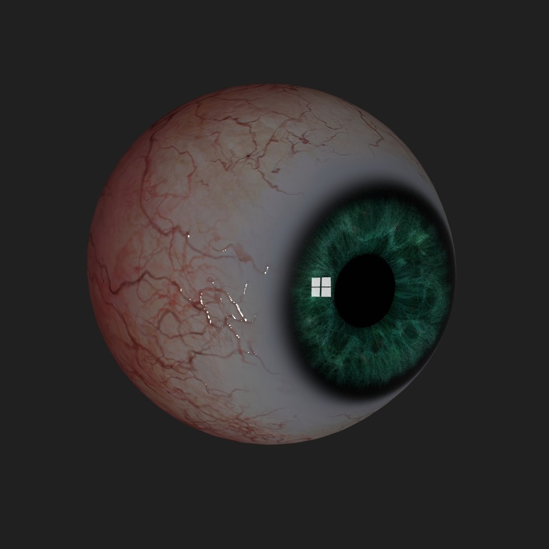 3d Model Realistic Human Eye
