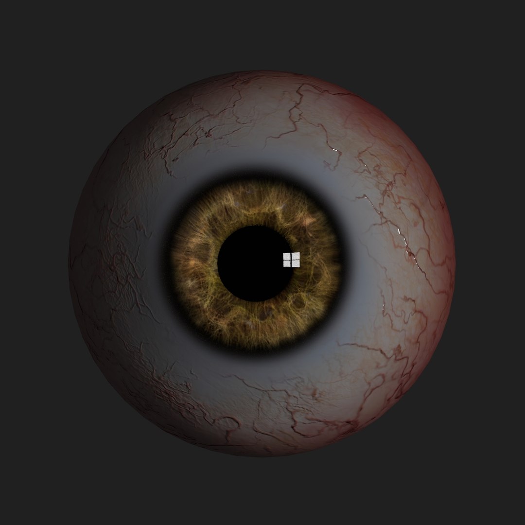 3d Model Realistic Human Eye