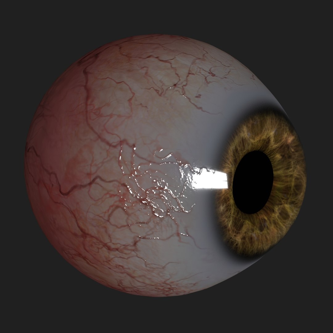 3d Model Realistic Human Eye