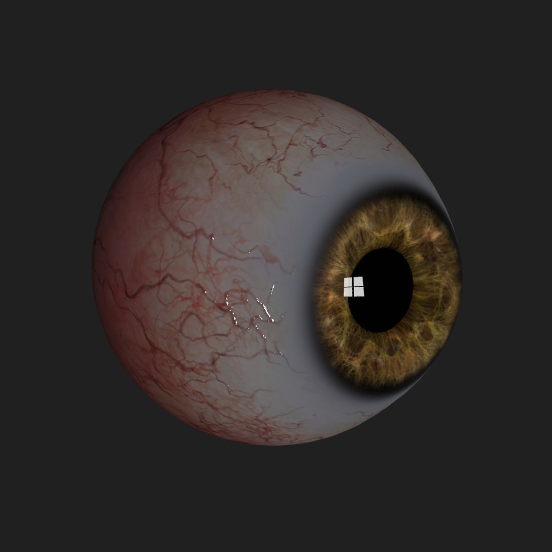 3d Model Realistic Human Eye