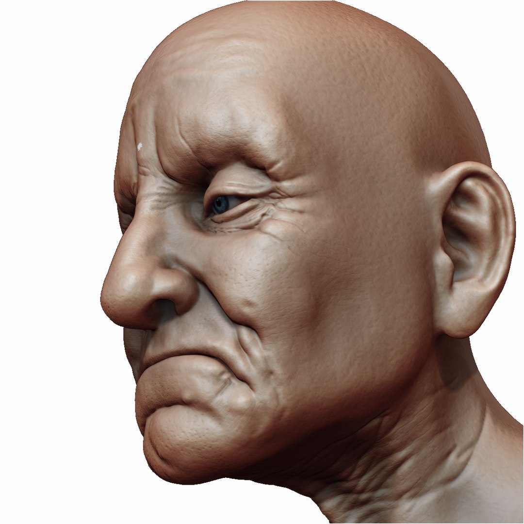 Old Man Portrait Obj Free