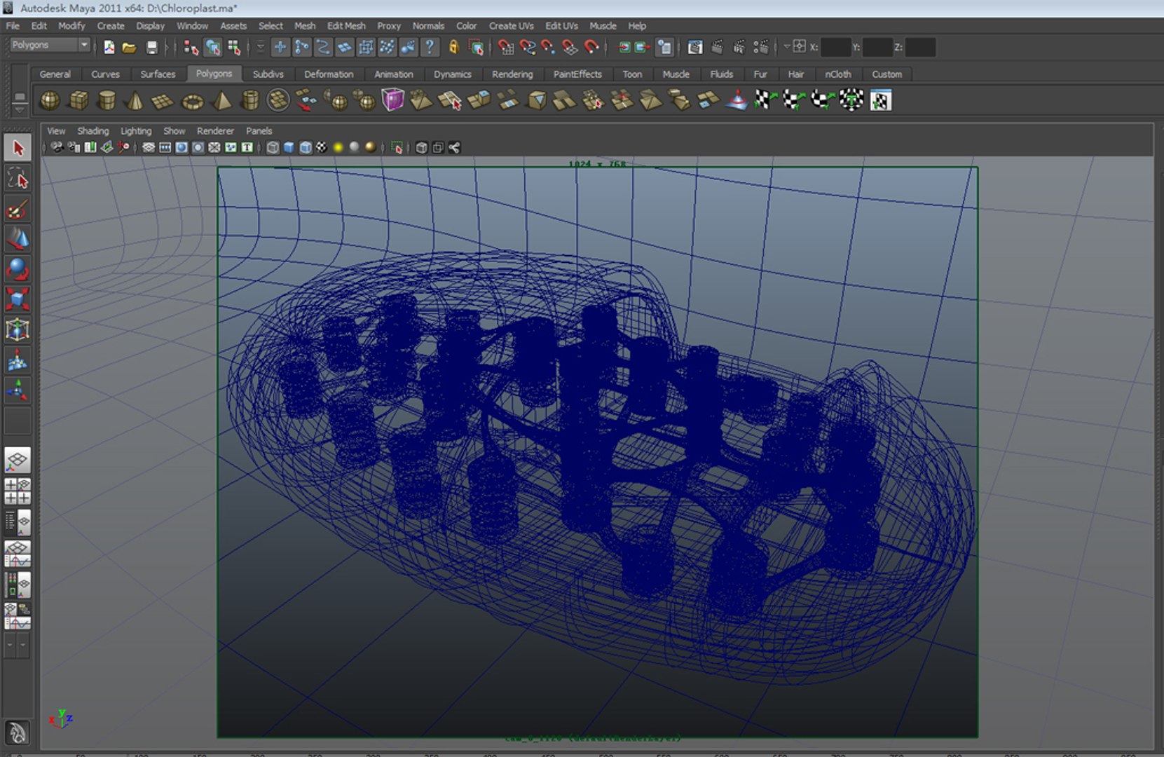 Chloroplast Chloroplastid Stroma 3d Model