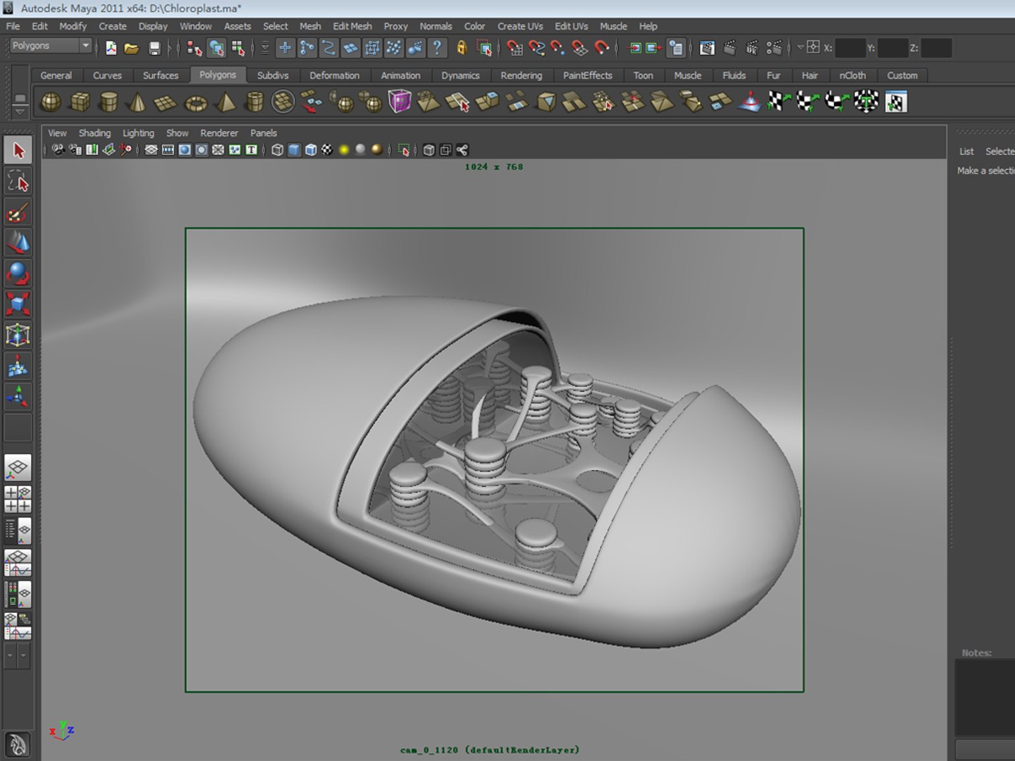 Chloroplast Chloroplastid Stroma 3d Model