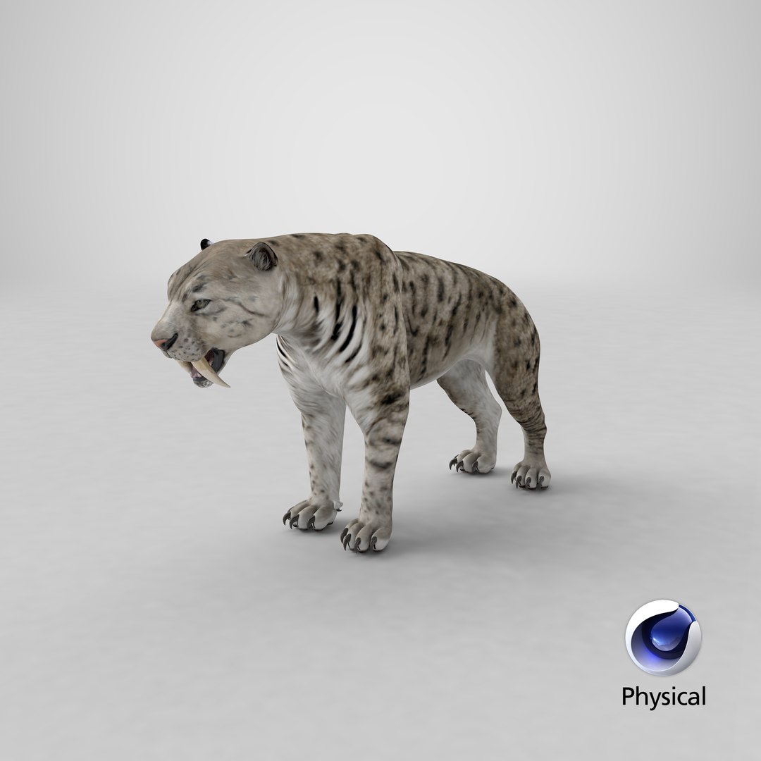 3D Arctic Saber Tooth Cat Model - TurboSquid 1329408
