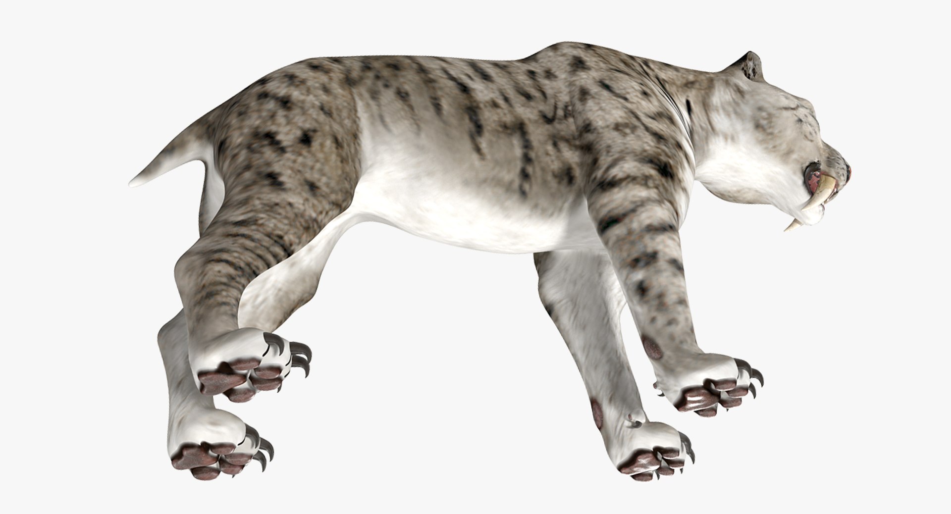 3D Arctic Saber Tooth Cat Model - TurboSquid 1329408