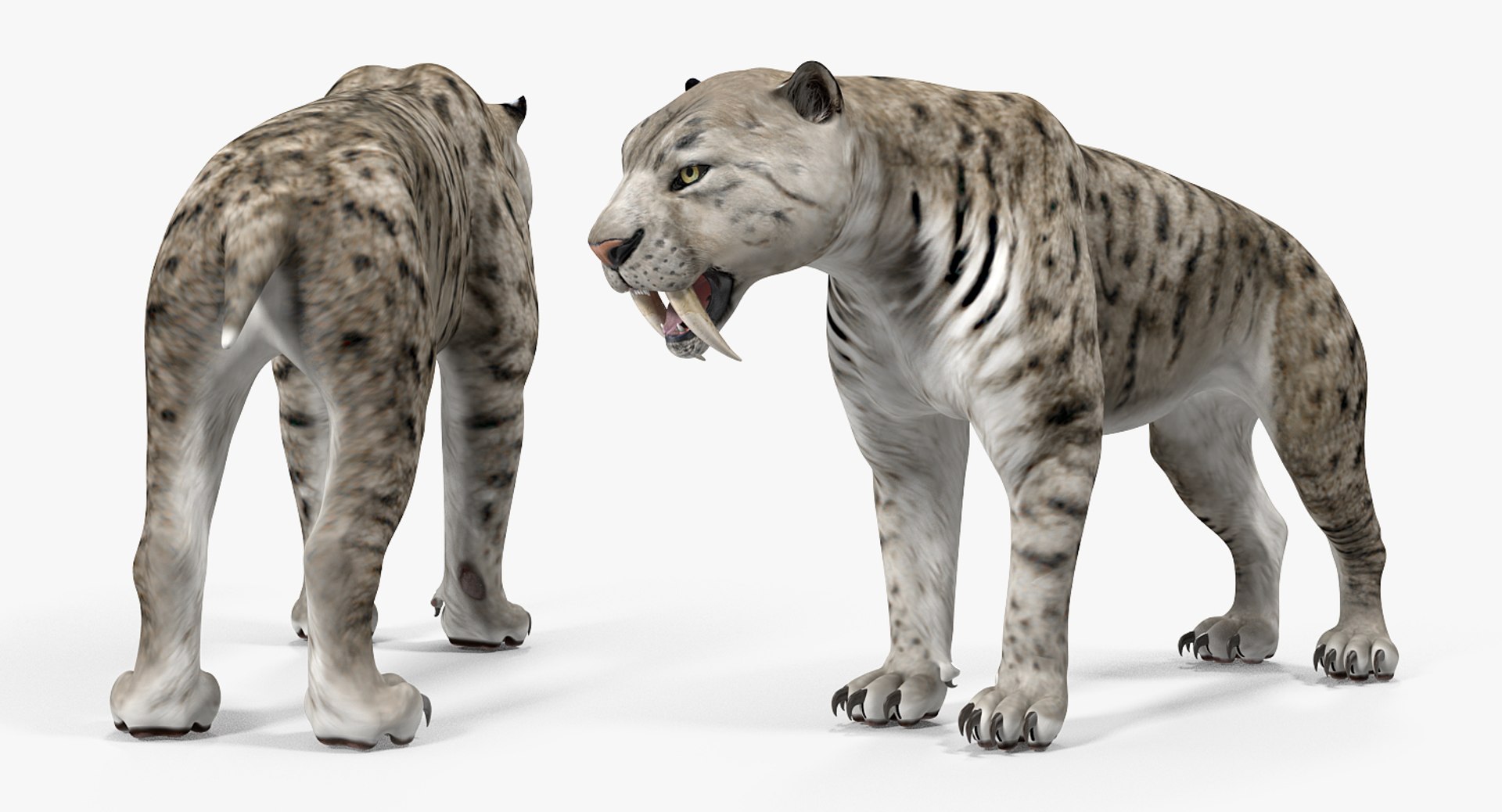 3D Arctic Saber Tooth Cat Model - TurboSquid 1329408