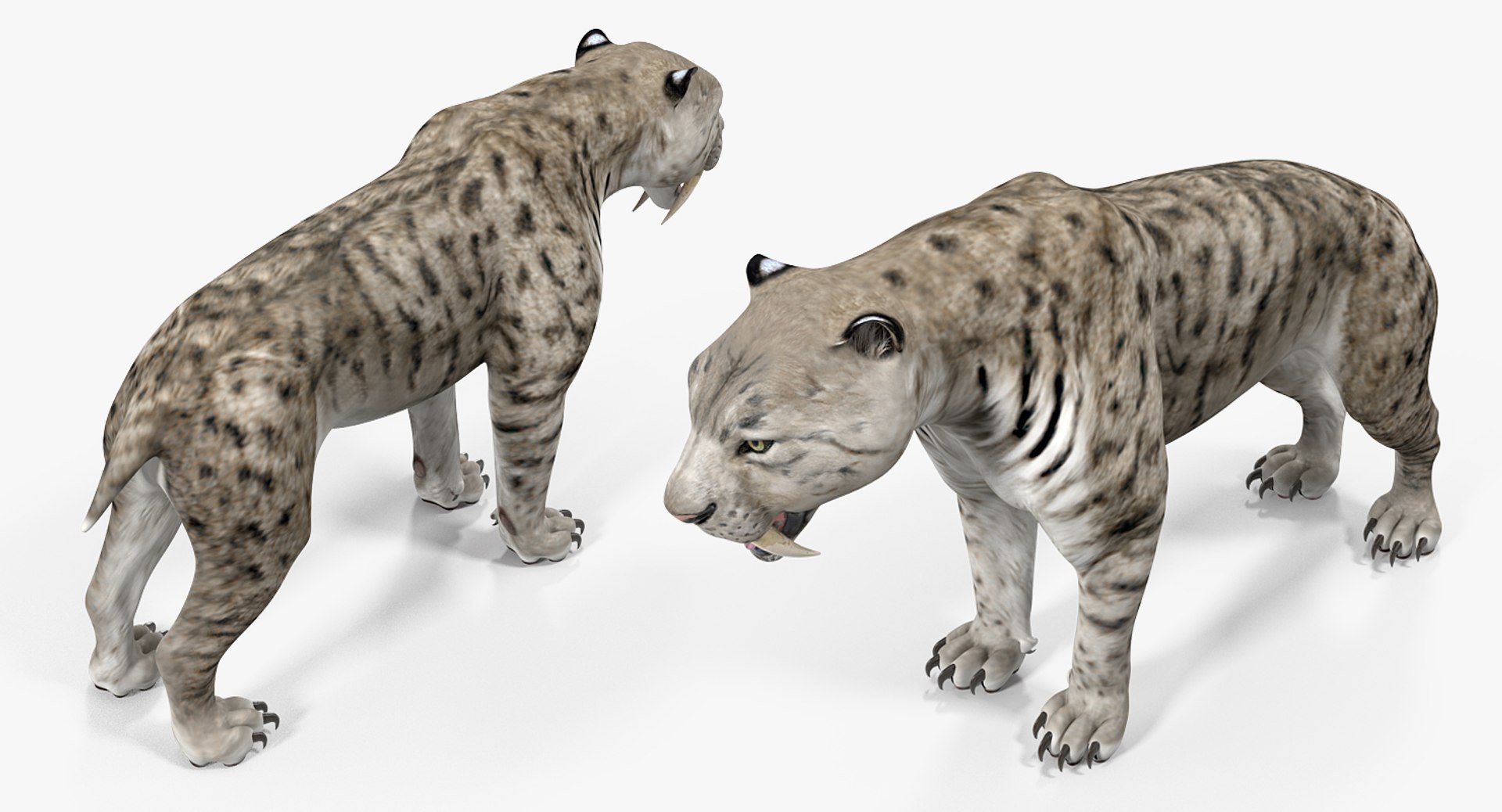 3D Arctic Saber Tooth Cat Model - TurboSquid 1329408