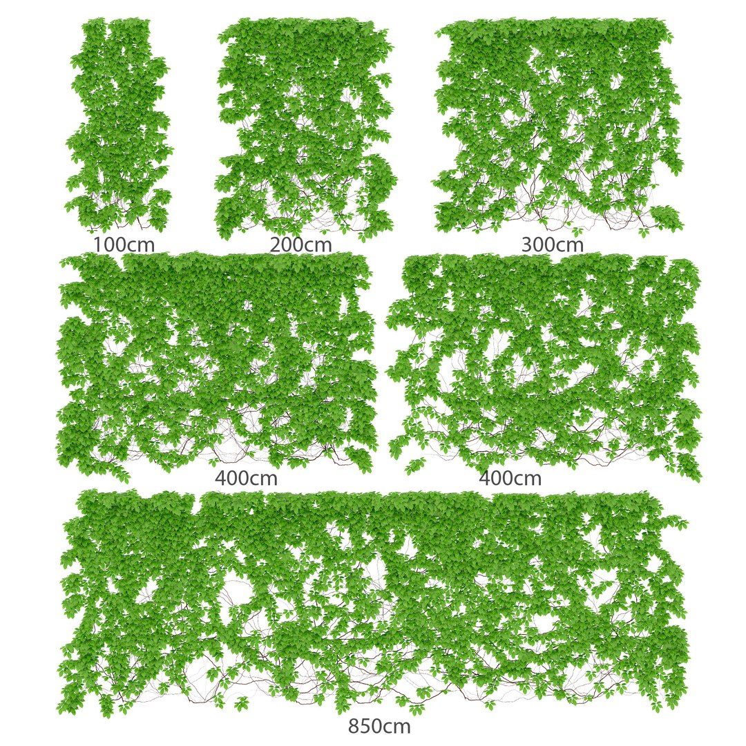 Leaves Grapes 6 Sizes 3d Model