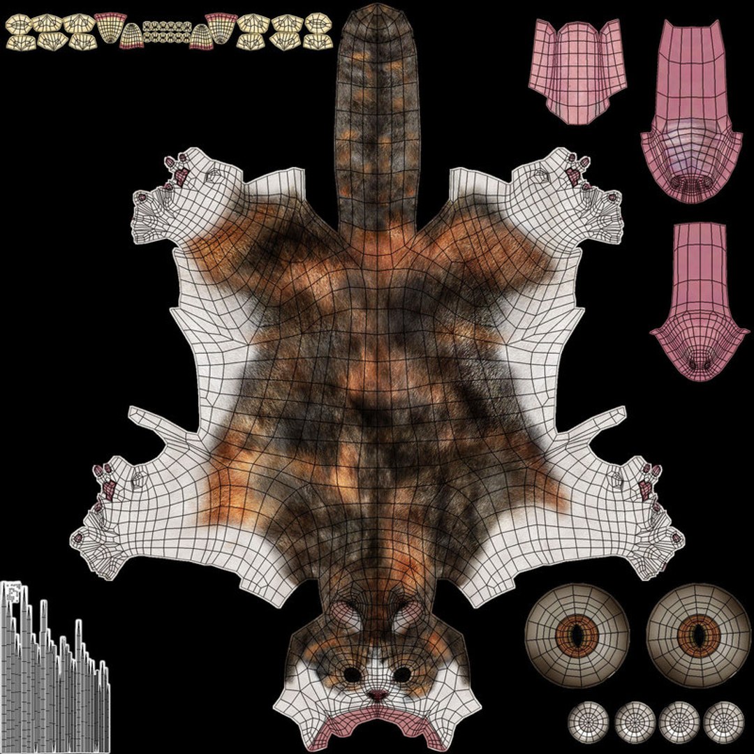 Cat Fur Modeled 3D Model - TurboSquid 1311438