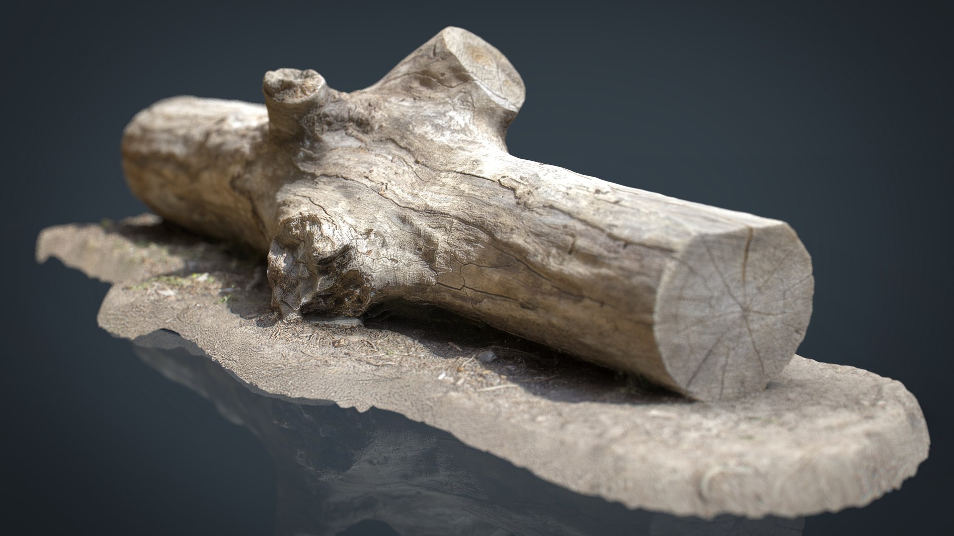 3D Model Dead Trunk - TurboSquid 1160720