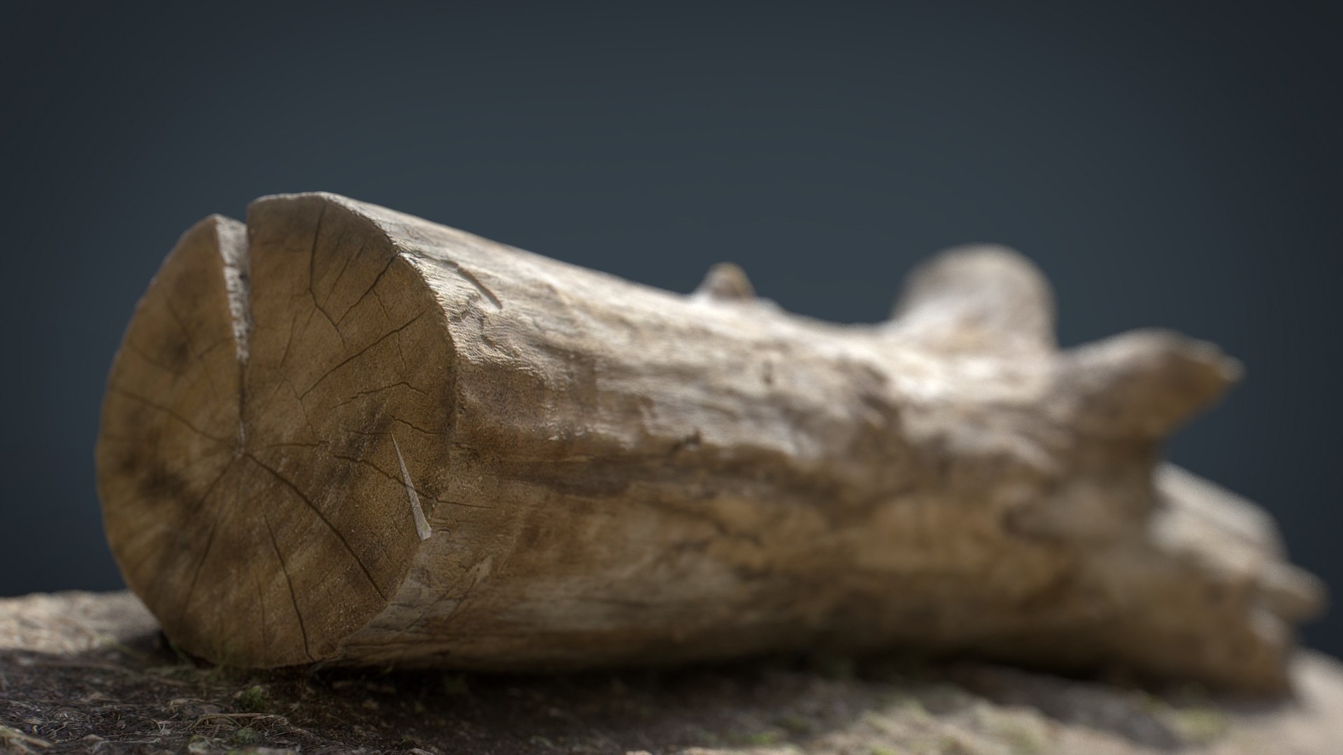 3D Model Dead Trunk - TurboSquid 1160720