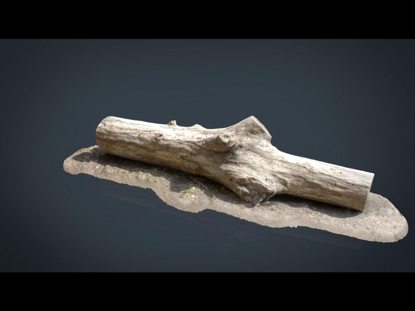 3d Model Dead Trunk Turbosquid 1160720