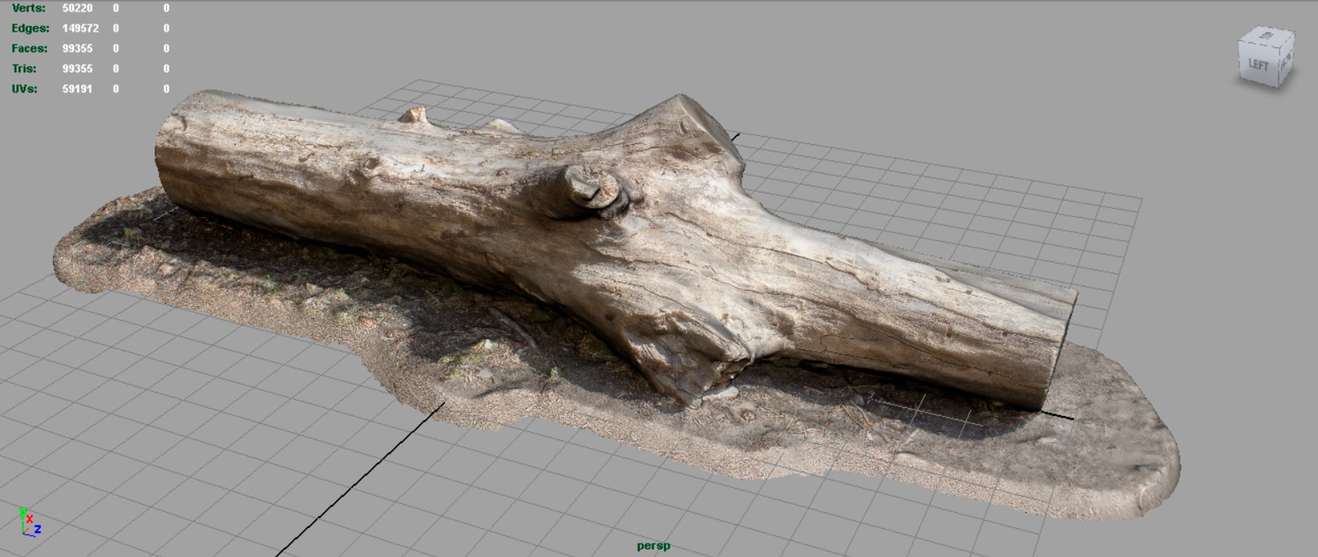 3D Model Dead Trunk - TurboSquid 1160720