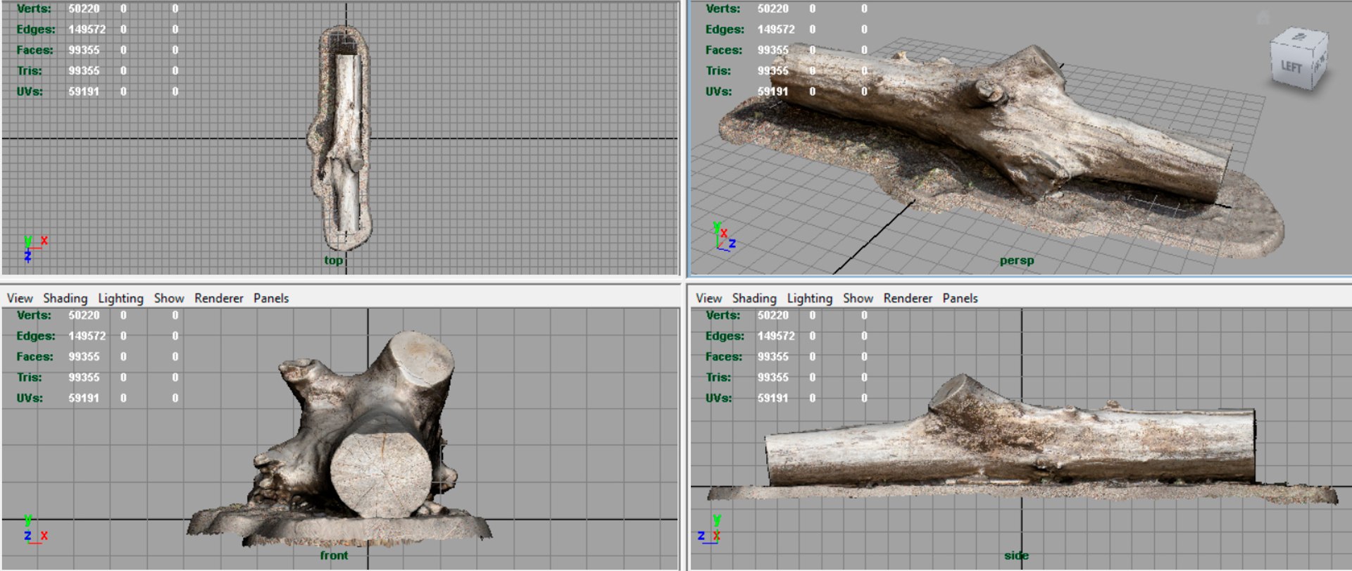 3D Model Dead Trunk - TurboSquid 1160720