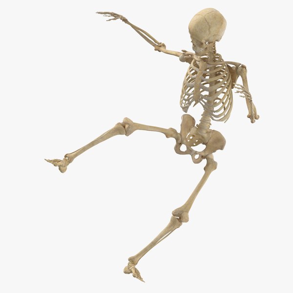 Real human female skeleton 3D model - TurboSquid 1667225