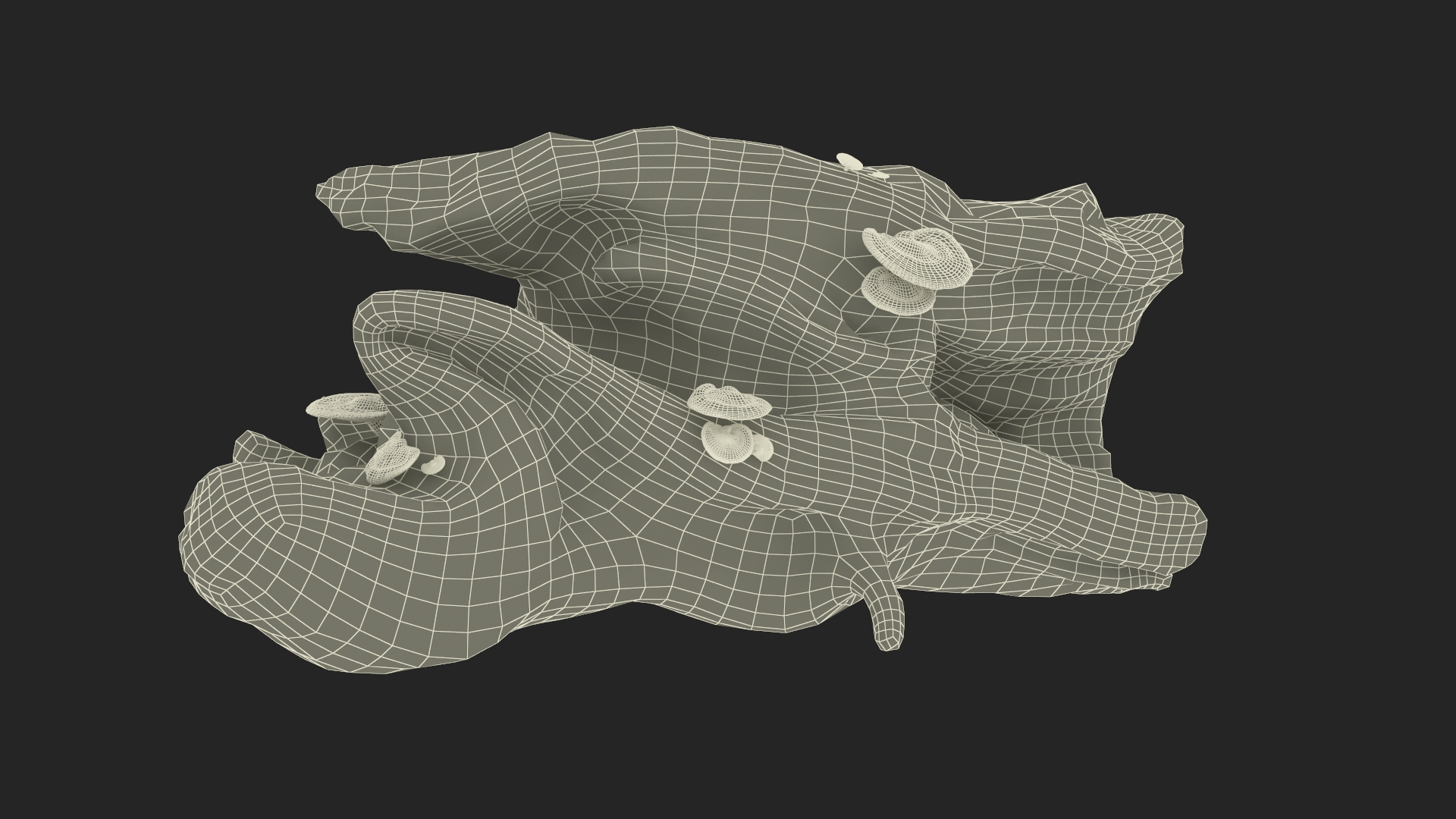 Snag Trunk Moss With Reishi Mushrooms 3D Model - TurboSquid 2412666