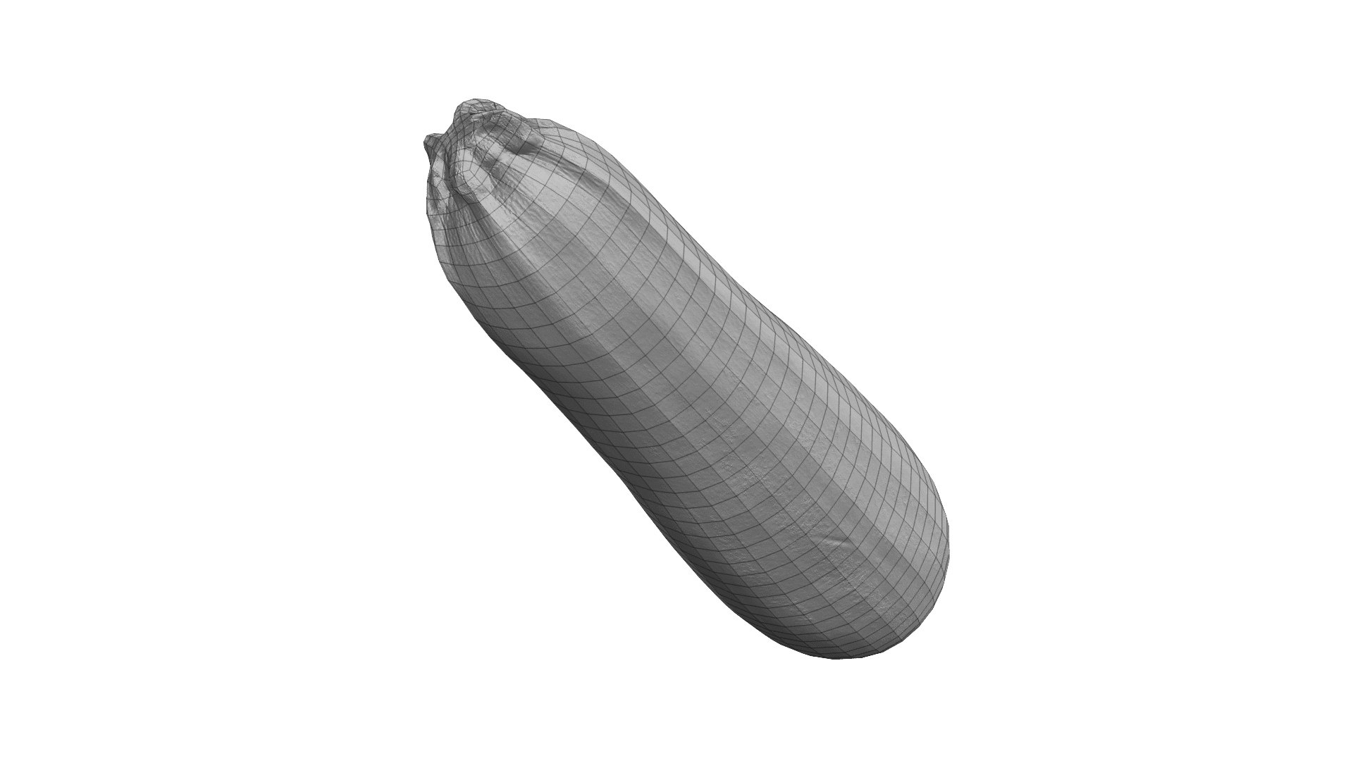 Zucchini Cucurbita Pepo - Real-Time 3D Scanned Model - TurboSquid 1729745
