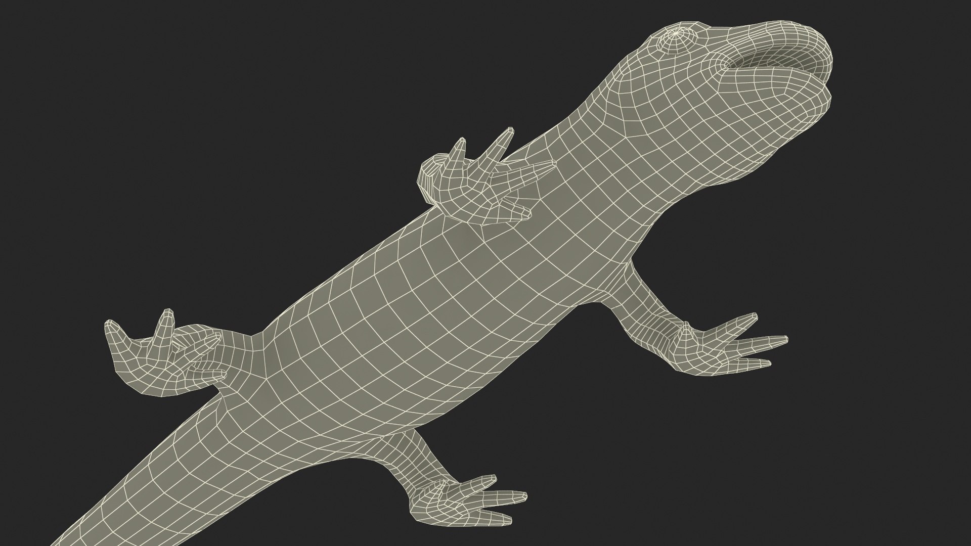 3D Model California Newt - TurboSquid 2143046