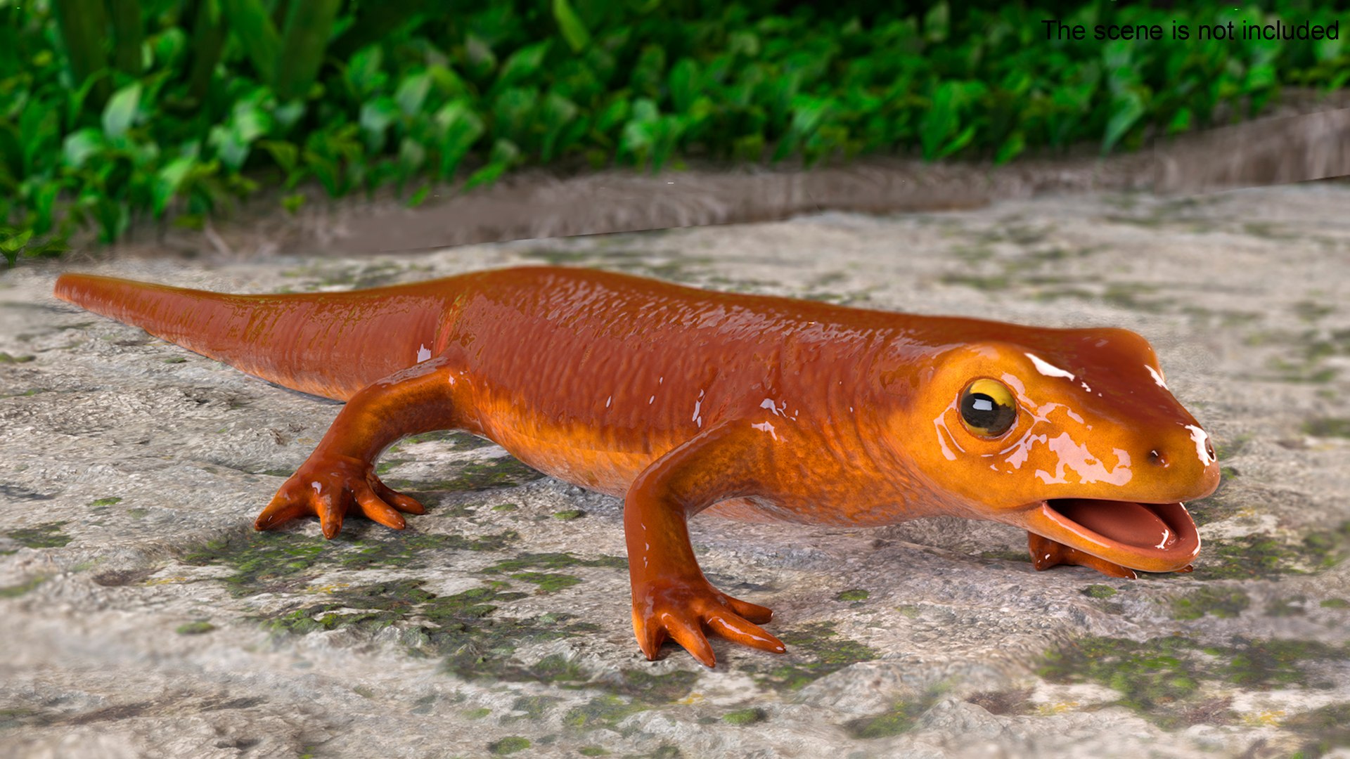 3D Model California Newt - TurboSquid 2143046