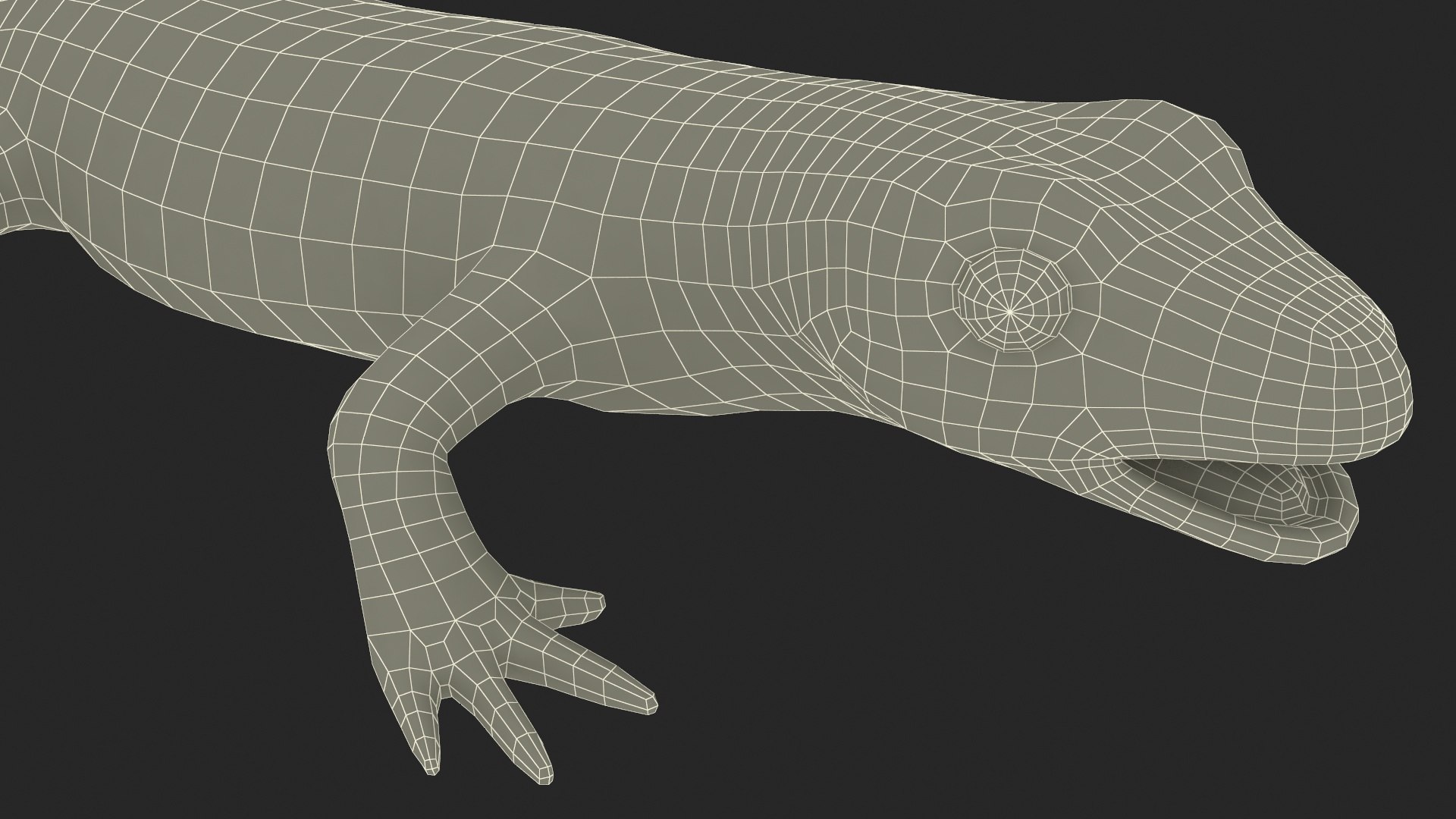 3D Model California Newt - TurboSquid 2143046